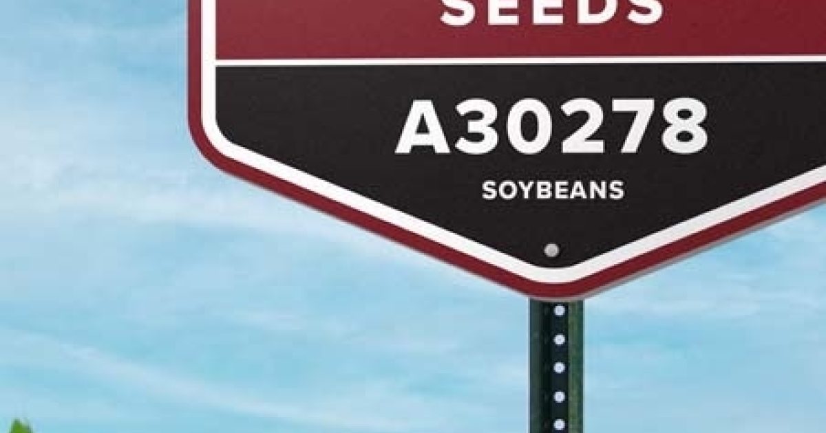 McKillip Seeds | The Brand Innovation Group