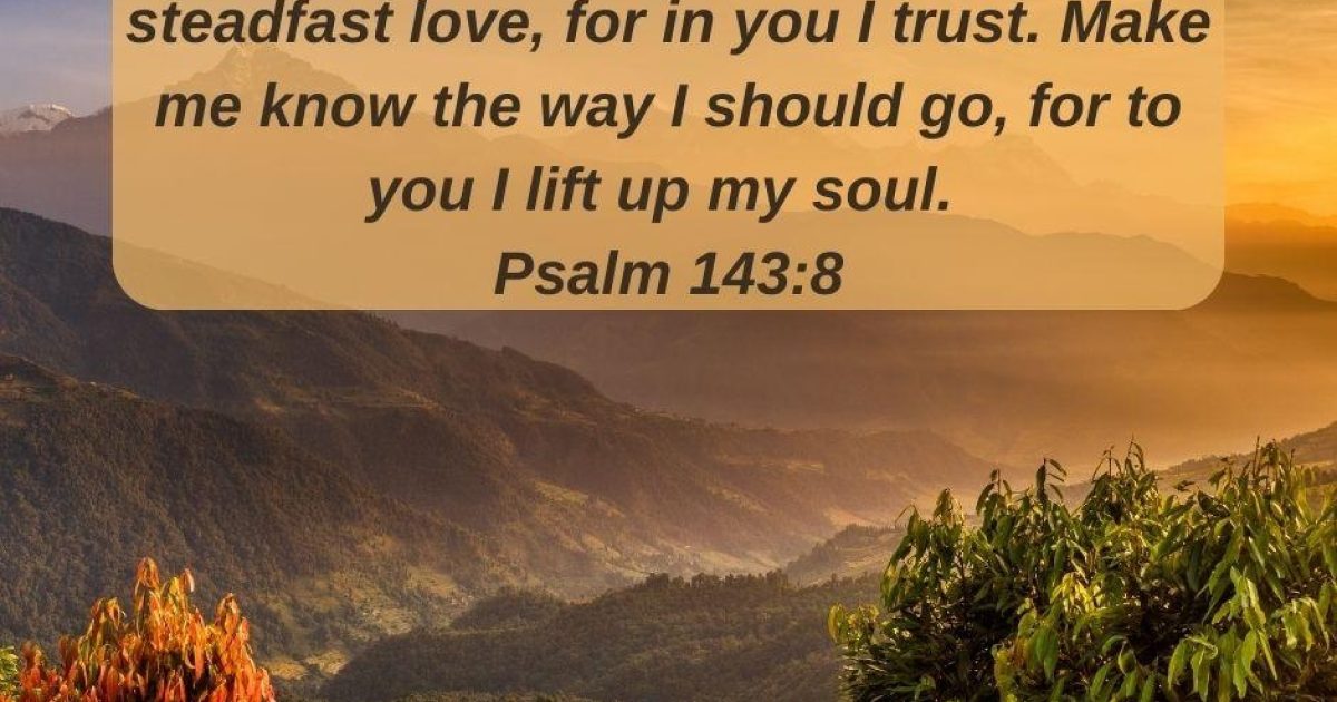 Worship Anew | Steadfast Love