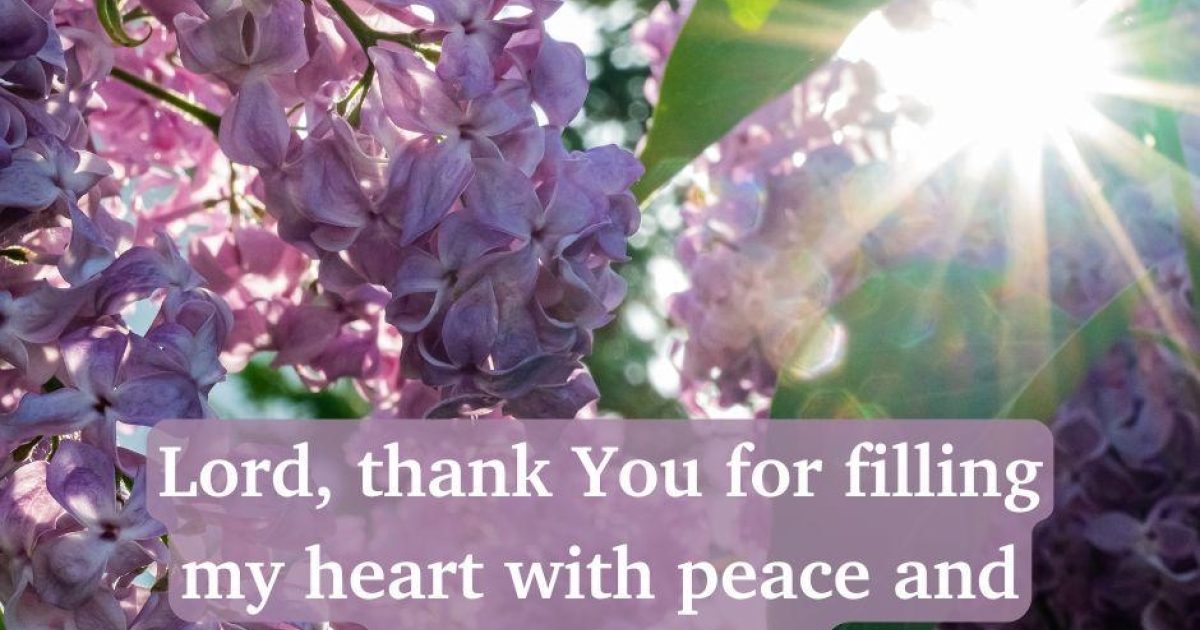 Worship Anew | Walk of Hope