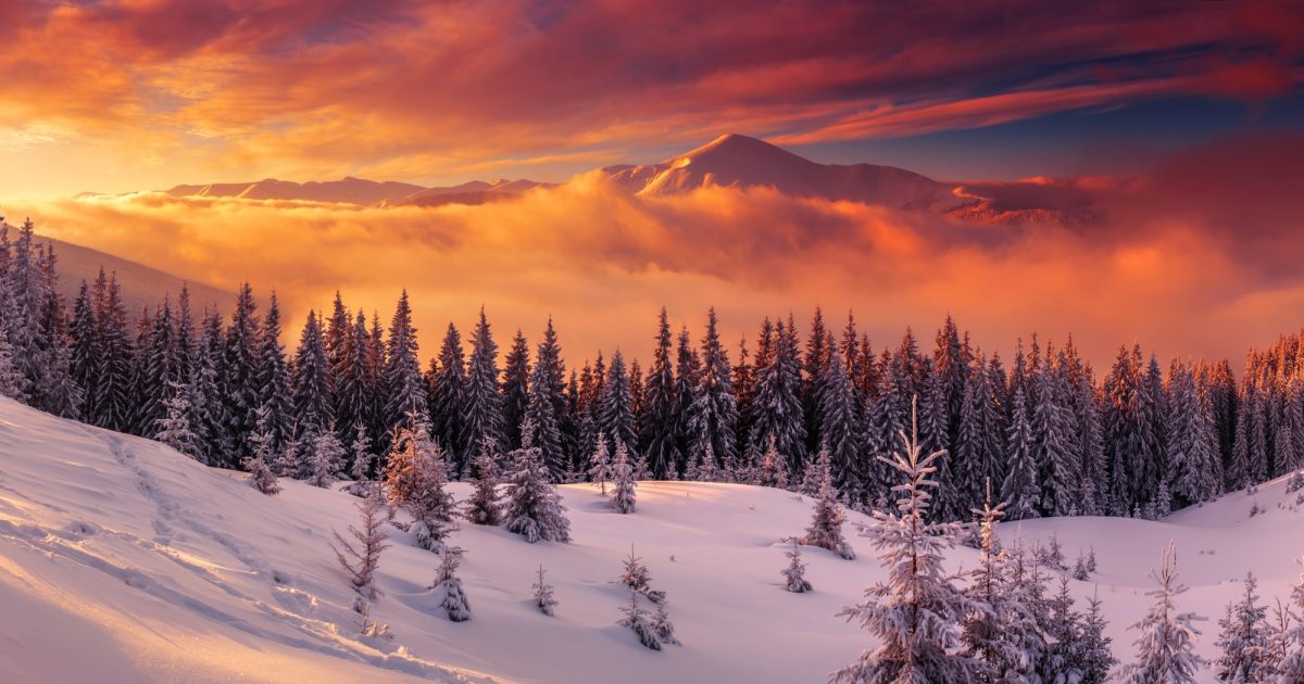 She'll never stop living | Worship Anew